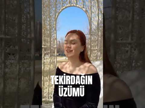 Tekirdağın Üzümü - Elif #akustik #cover