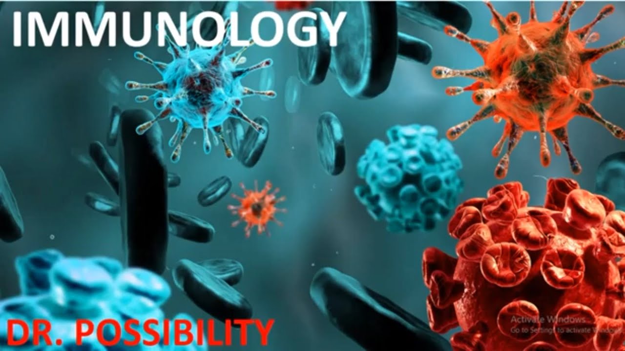 IMMUNOLOGY CLASS INNATE IMMUNE SYSTEM - YouTube
