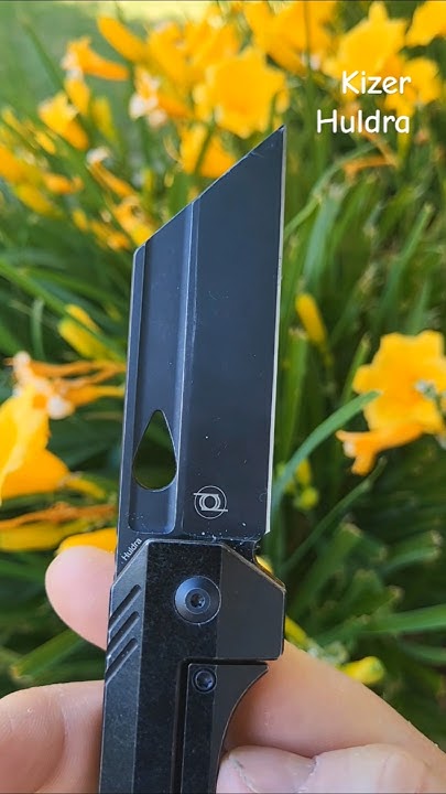 Underrated Kizer IMO - YouTube