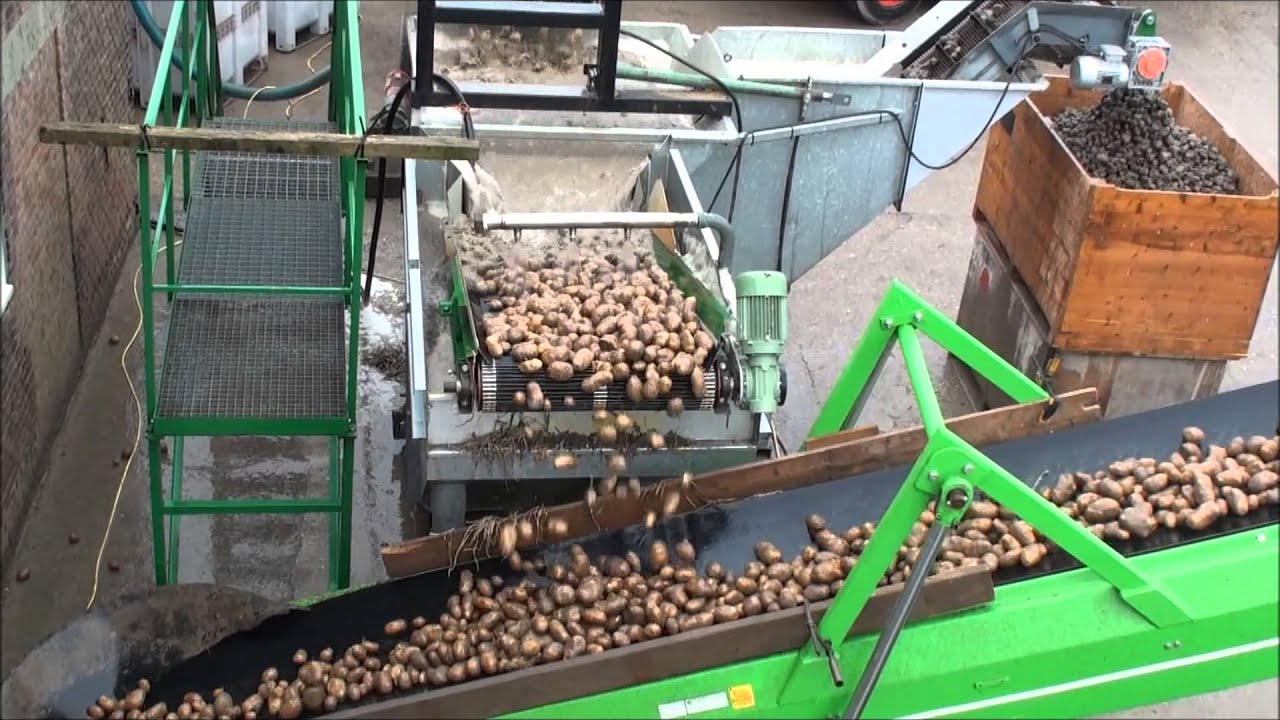 Van Dijke destoner SN400 potatoes - YouTube