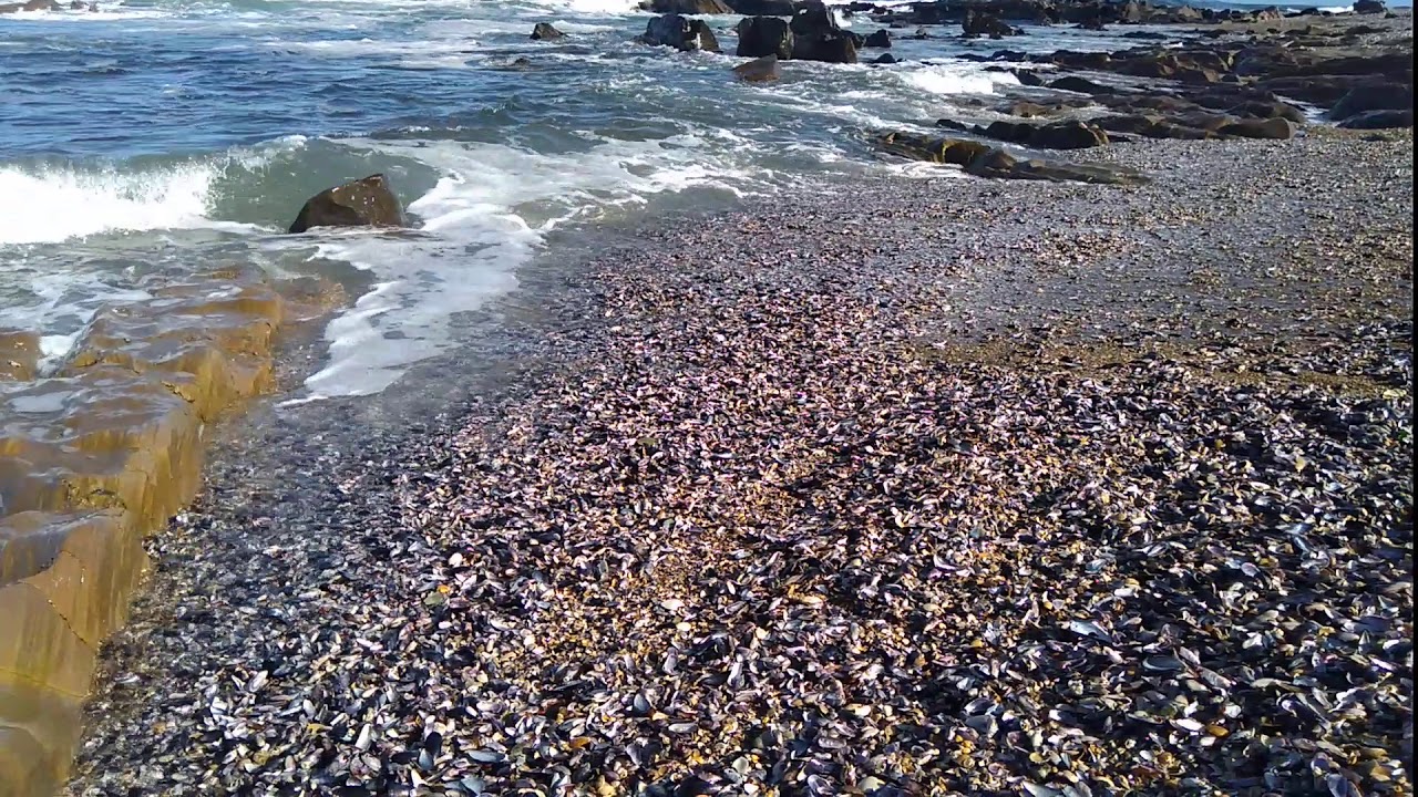 Swash and Backwash - YouTube