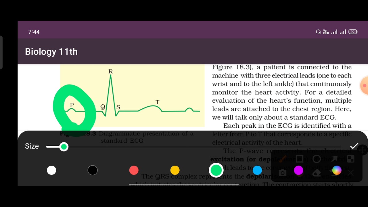 electro cardio graph - YouTube