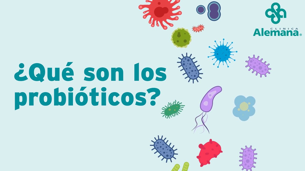 ¿Qué son los probióticos? I Clínica Alemana - YouTube