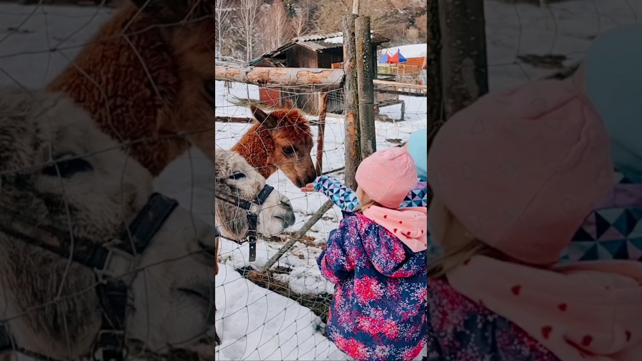 Love is teaching your children respect, kindness, and compassion for ...