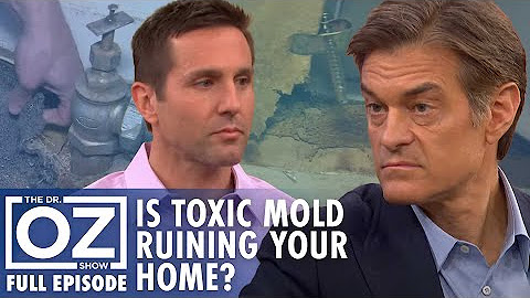 The Dr. Oz Show - Full Episodes - YouTube