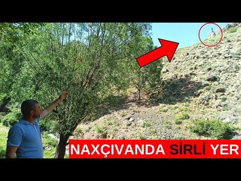 Azərbaycanda 1000 ildir dağın başında dayanan nədir?