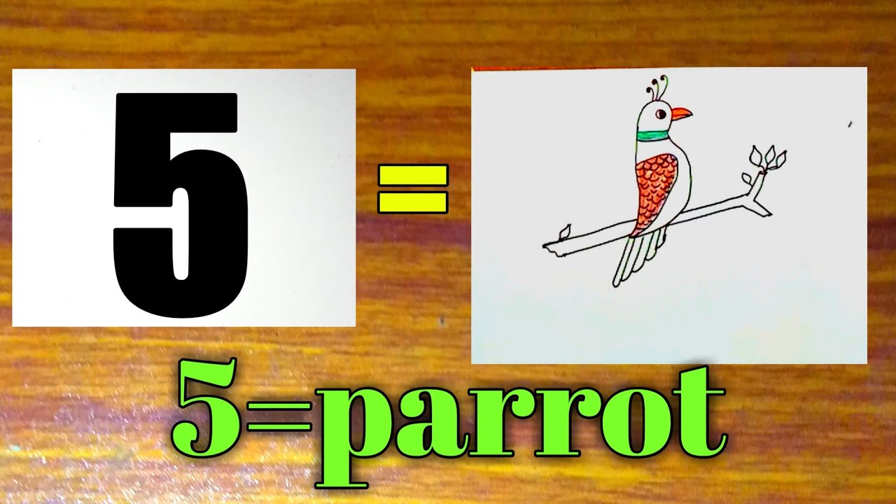 easy parrot drawing || how to draw a parrot from 5 number step by step ...