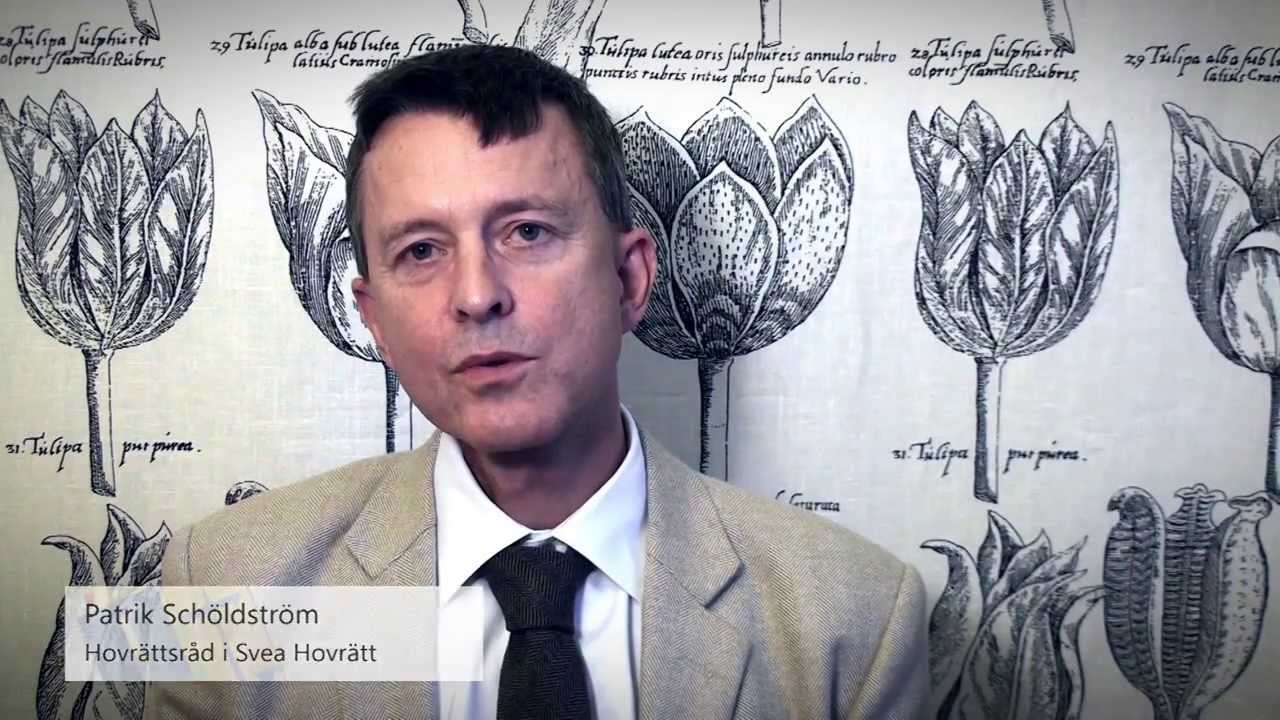 Hovrättsråd i Svea Hovrätt Patrik Schöldström om skillnaderna på ...