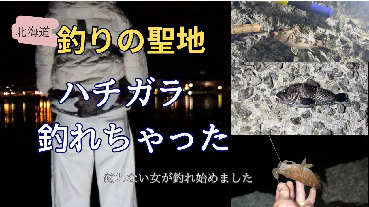 釣りの聖地北海道でハチガラ釣りました！他にも釣ったことのない魚種も釣れて満足の1日。 Youtube 2937