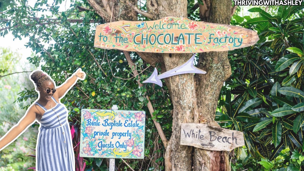 Learn HOW TO make Caribbean Chocolate| The Only CHOCOLATE Factory in ...