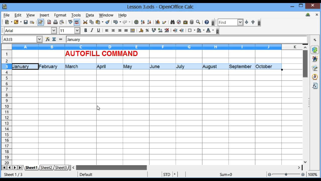 CAT 11_Spreadsheets_ Open Office Lesson 3 Autofill Options - YouTube