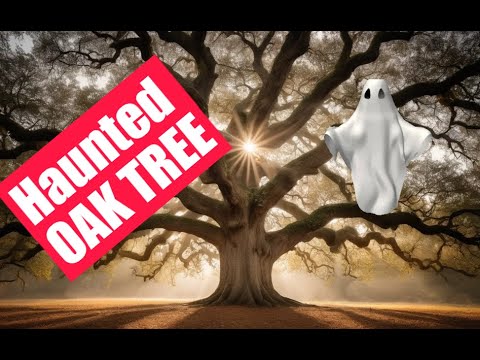 The Whispering Oak Tree | Terrifying Ghost Story of a Haunted Tree ...