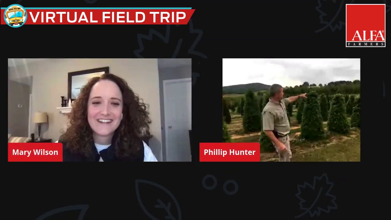 Virtual Field Trip - Tree Nursery - YouTube