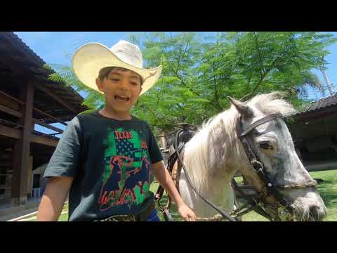 CRIANÇA ANDANDO DE CAVALO, ESTRELA CAVALGANDO, GALOPANDA NA ESTRADA