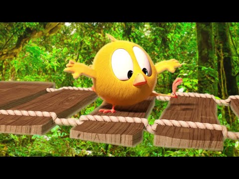 Chicky en el bosque | ¿Dónde está Chicky? | Colección dibujos animados para Niños | HD