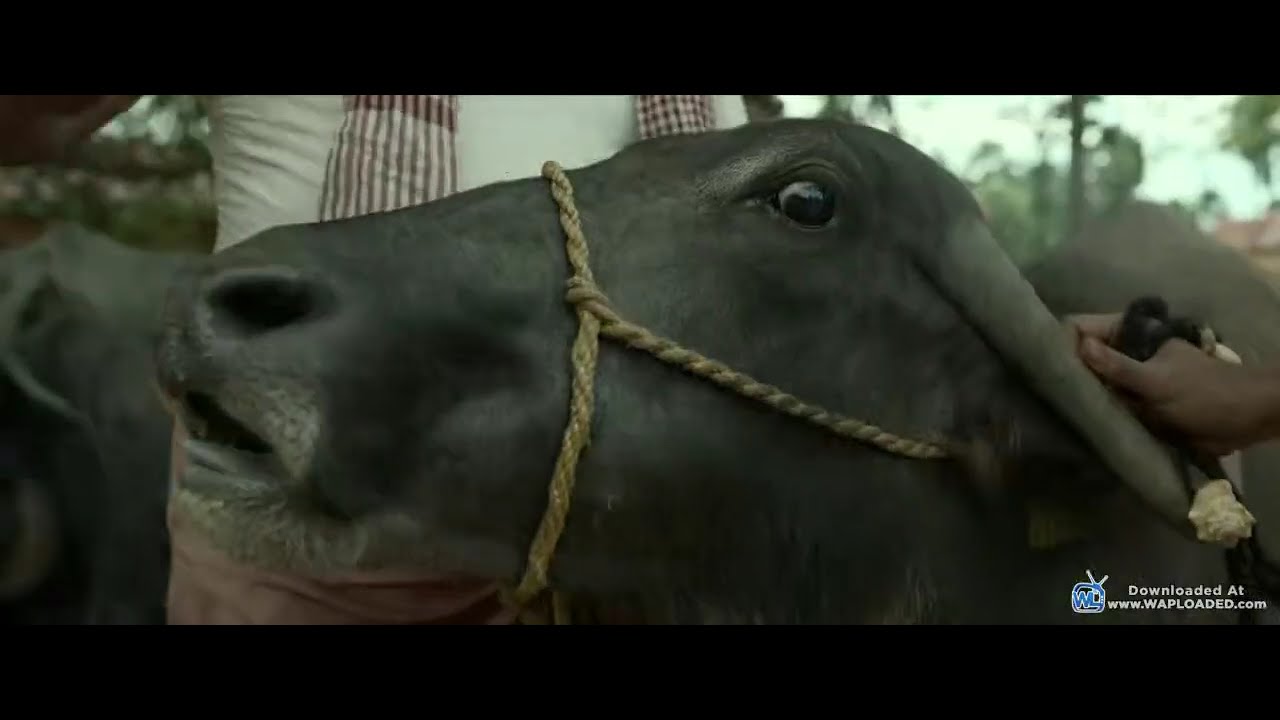Pushpa (Pushpa The Rise) Cast & Crew | Cast Of Pushpa Telugu Movie ...