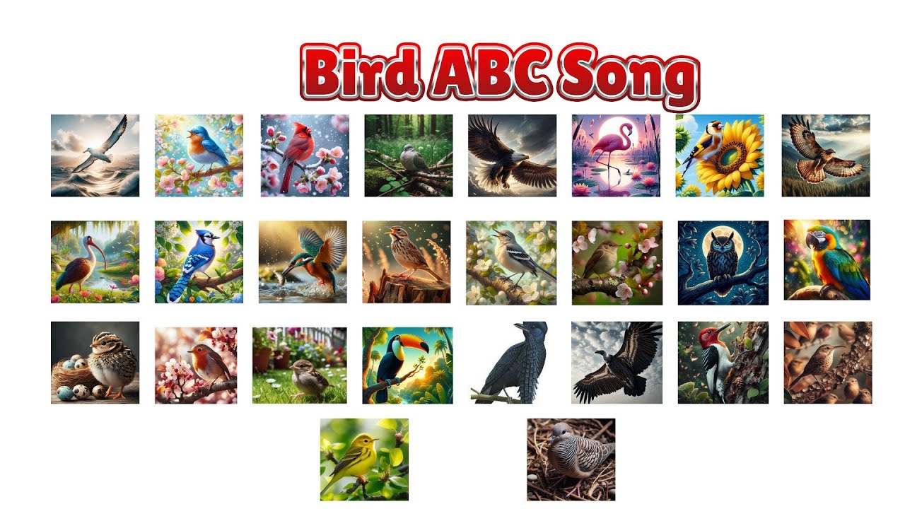 ABC Song for Kids | Learn the Alphabet with Fun Bird Names! 🐦🎶 - YouTube