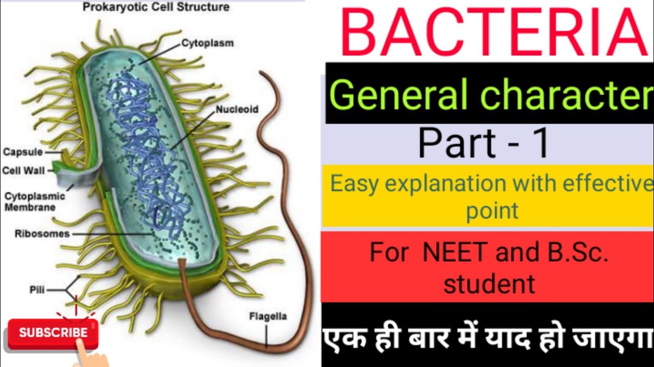 Bacteria# Part -1# General character of bacteri# 10th# 11th# B.Sc.1 ...