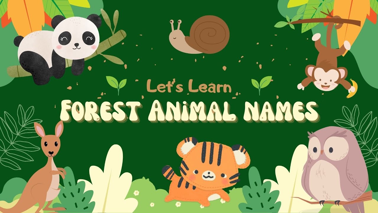 Learn Forest Animal Names for Kids | Forest Animal Video | Forest ...