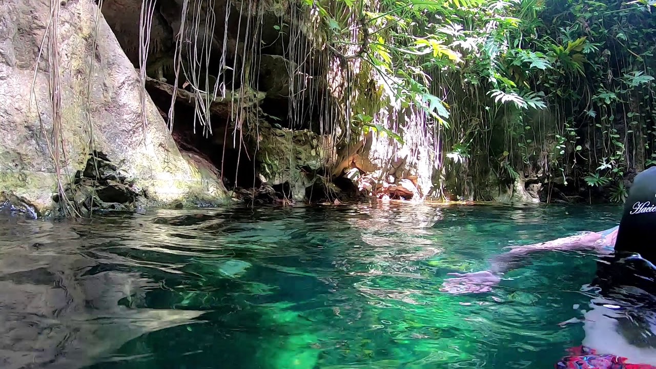 Feb 2020 Carnival Valor Progresso Cenote - YouTube