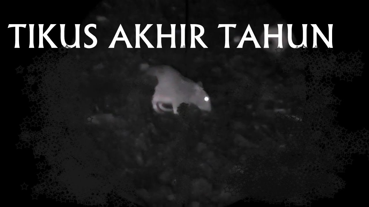 Nembak Tikus akhir Tahun 22 - YouTube