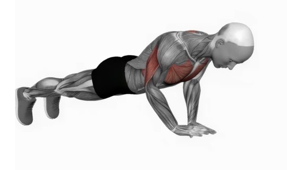 The Perfect Arms Workout (PHIL HEATH) - YouTube