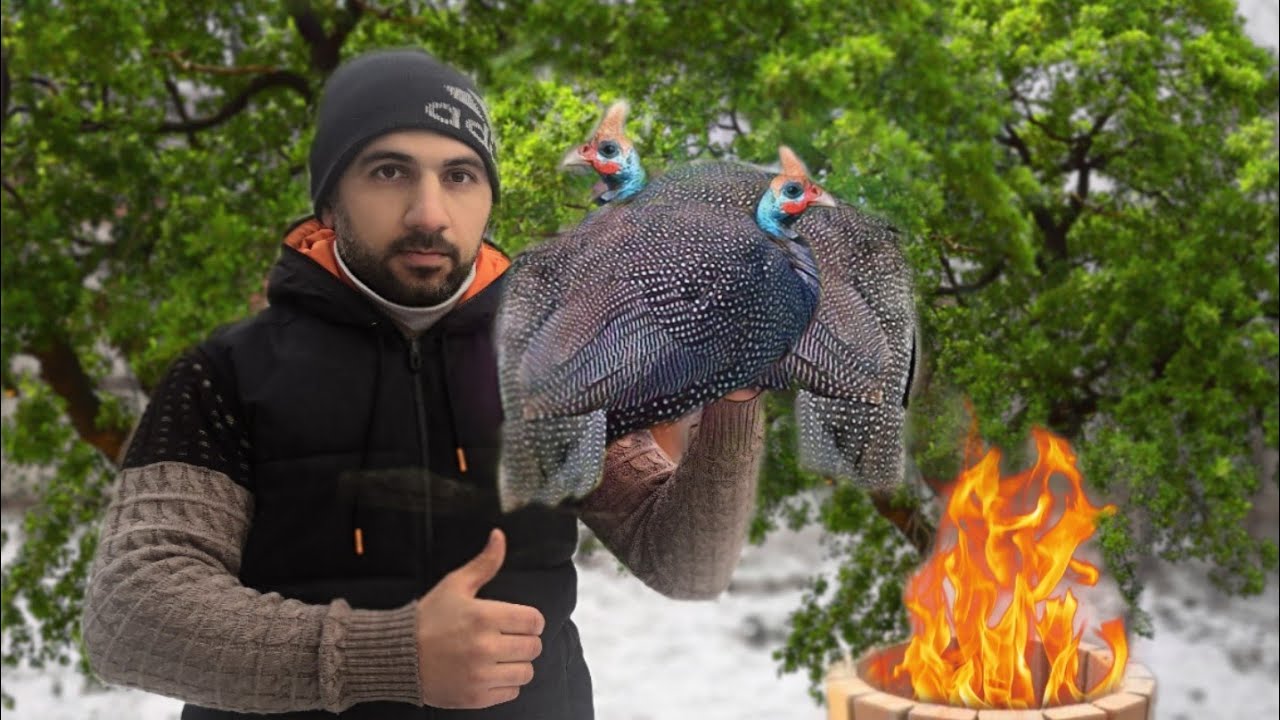 Guinea Fowl Cooking in Oven/Tandoori Baked Recipe - YouTube