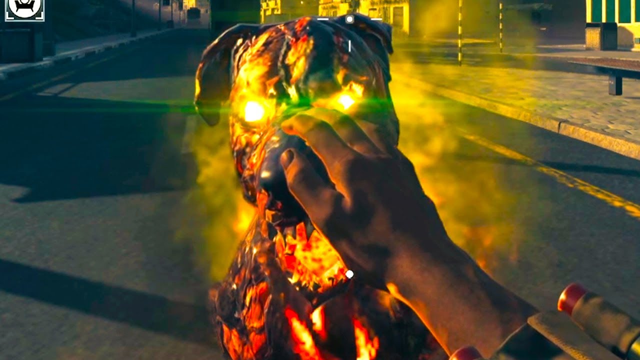 Como acariciar al PERRO infernal en MW3 ZOMBIES - YouTube
