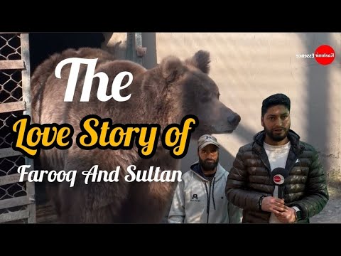 The Love story of Farooq and Sultaan from the zoo of Pahalgam south ...