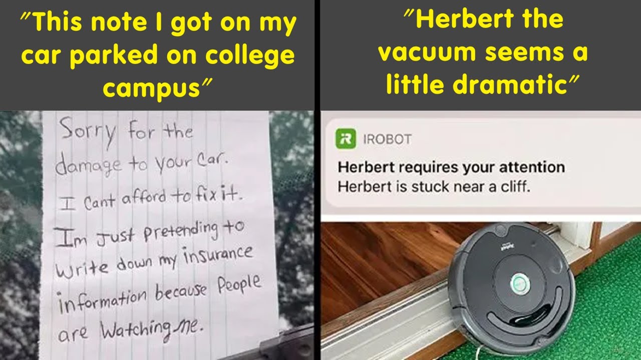 Funny Student Life Memes That Hit Too Close To Home 😂 - YouTube