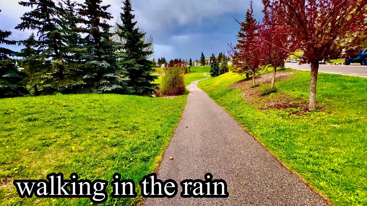 Walking in the Rain:Calgary, Alberta 4K - YouTube