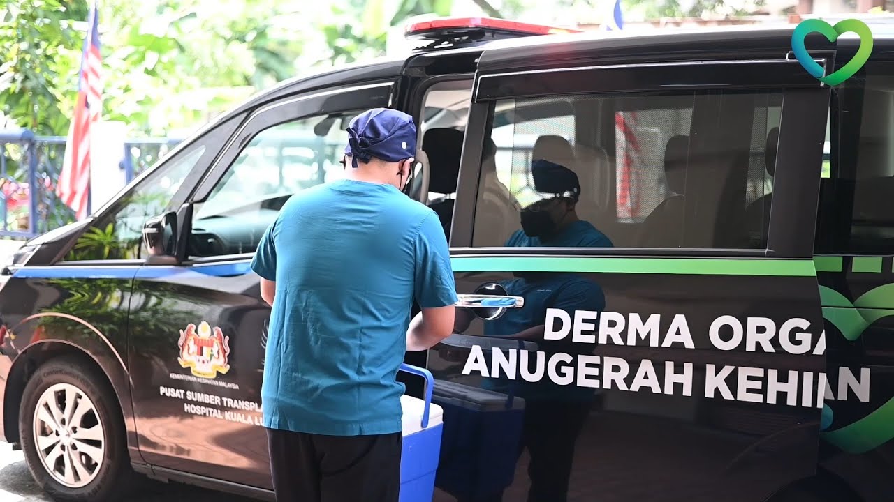 Kapsul MyHEALTH : Derma Organ - YouTube