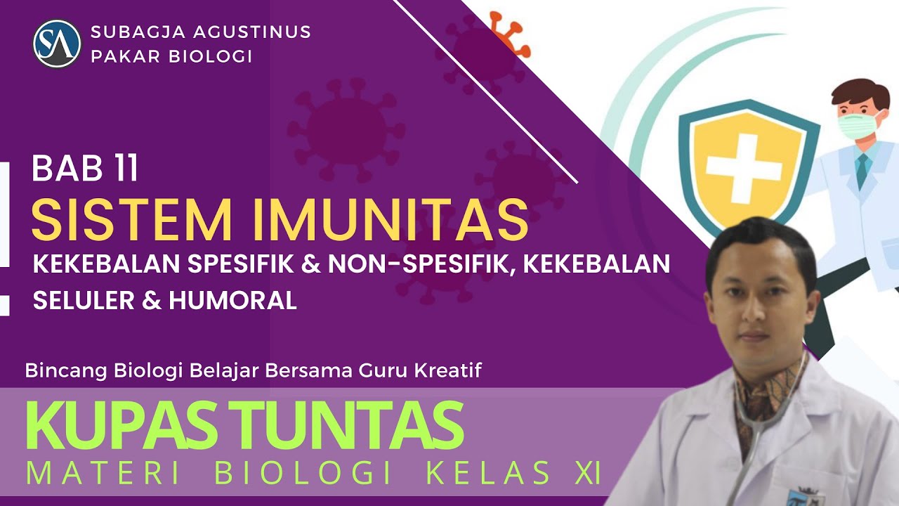 Bab 11 Sistem IMUNITAS Pada Manusia : Kekebalan Spesifik & Nonspesifik ...