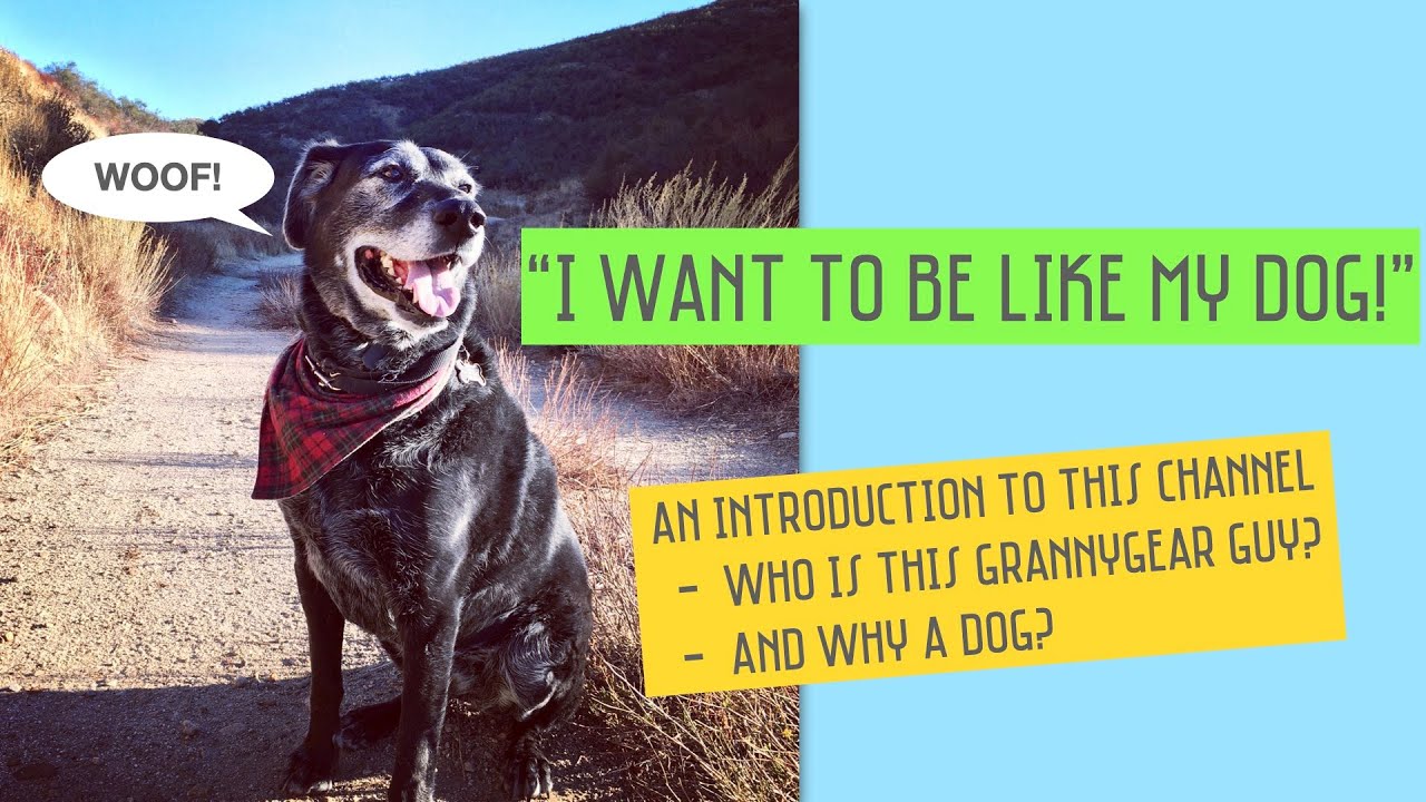 I Want To Be Like My Dog - YouTube
