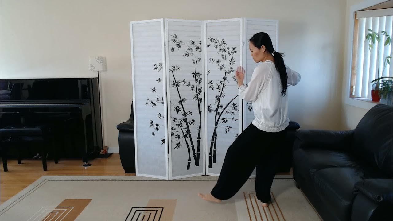 Tai Chi Yang Style 37 Form, Movements 1-14 Back View - YouTube