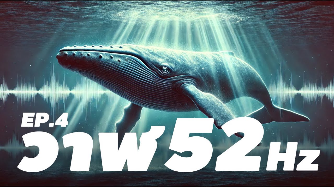 สัตว์โลกน่ารู้ EP.4 วาฬ 52 Hz [52-Hertz whale] - YouTube