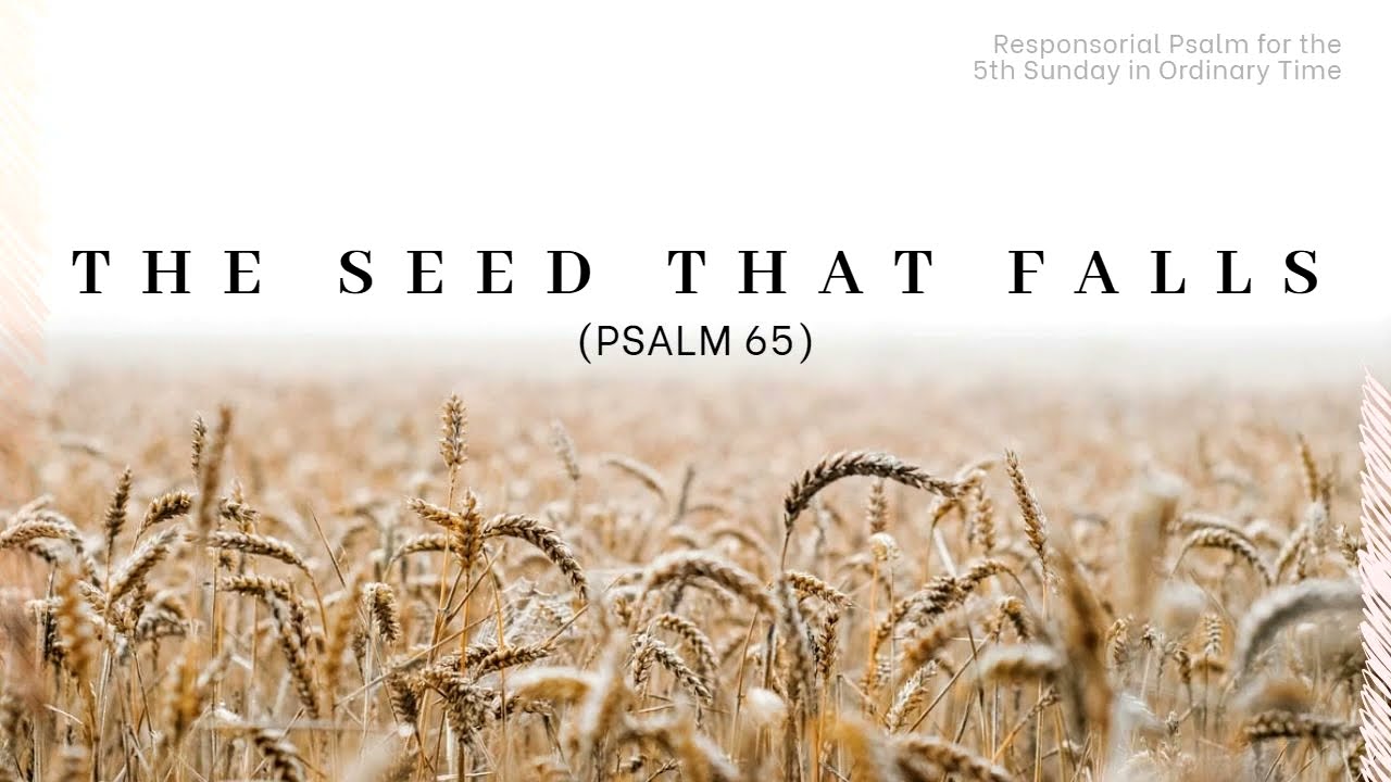 The Seed That Falls (Psalm 65) - Responsorial Psalm for Sunday in ...