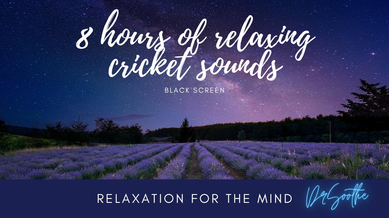 8 Hours of Cricket Sounds (Black Screen) - Relaxation for the Mind ...