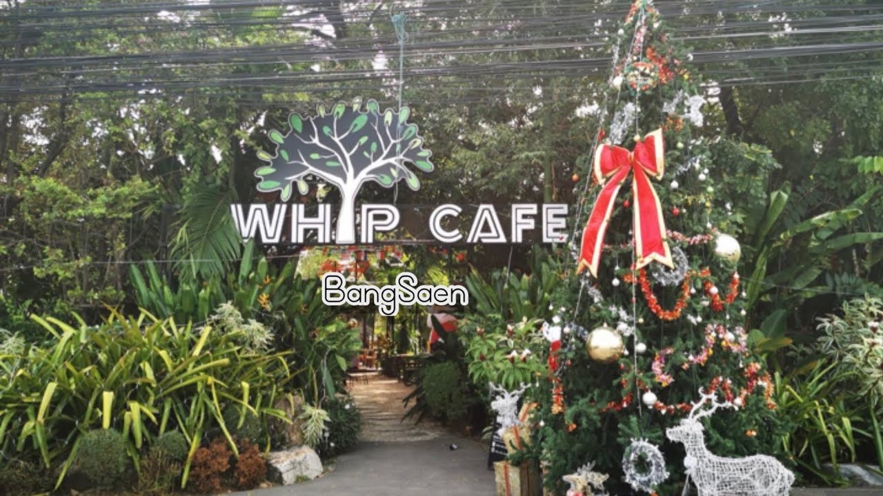 Whip Café - BangSaen - YouTube