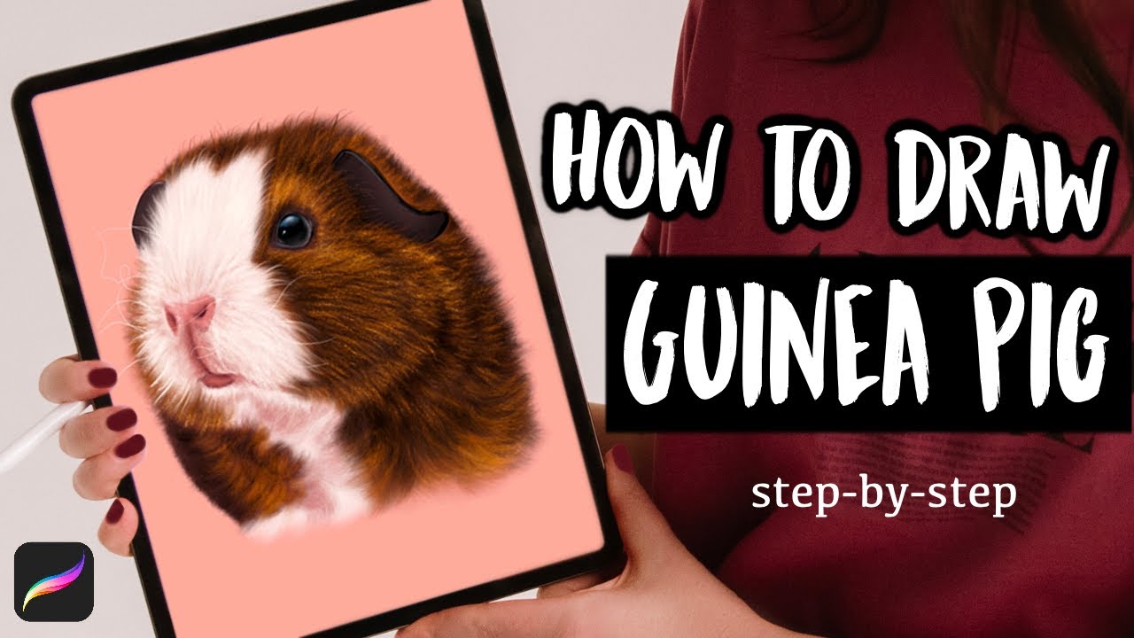 How To Draw A Realistic Pig Step By Step