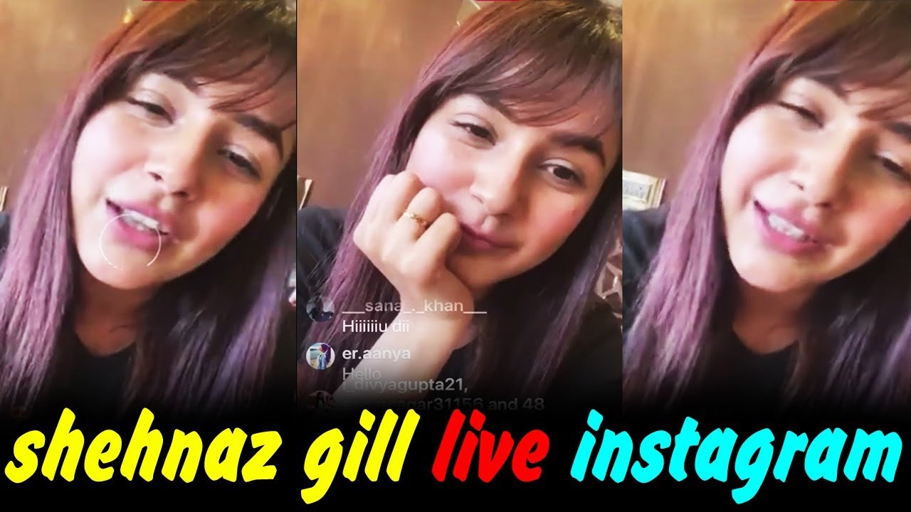 shehnaz gill live instagram l shehnaz gill latest video - YouTube