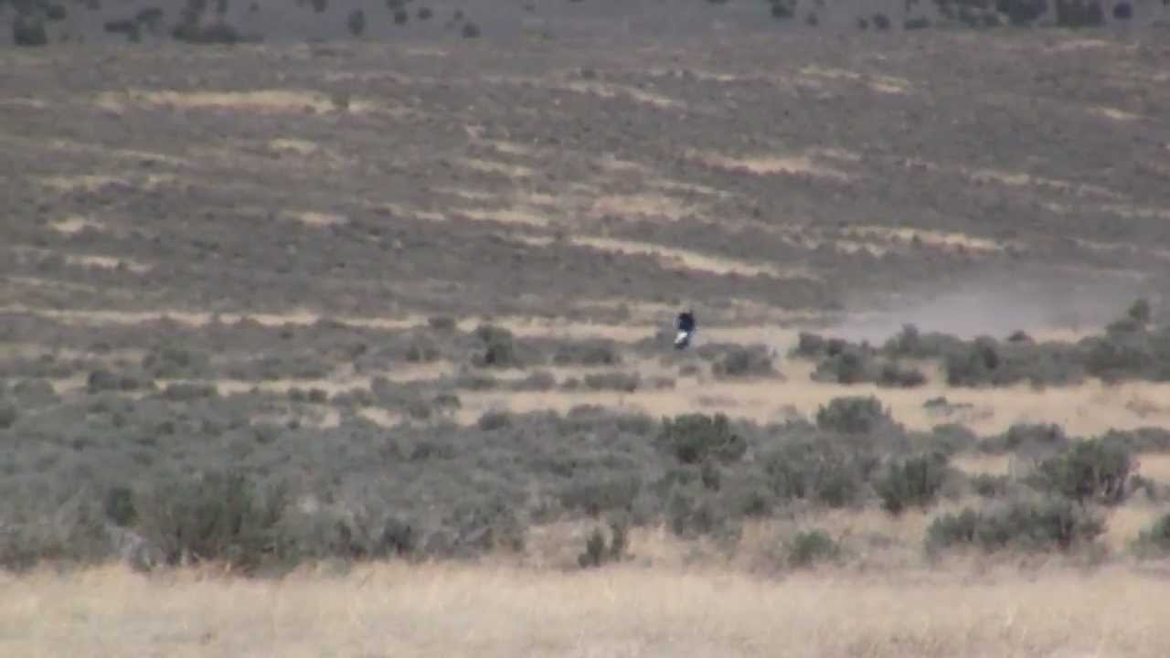 Utah National Hare & Hound RD 5&6 2012 - YouTube