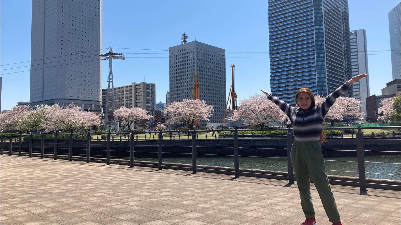 Yokohama Waterfront Sakura Walk tour 🇯🇵 #travel #japan #newvideo #fyp # ...