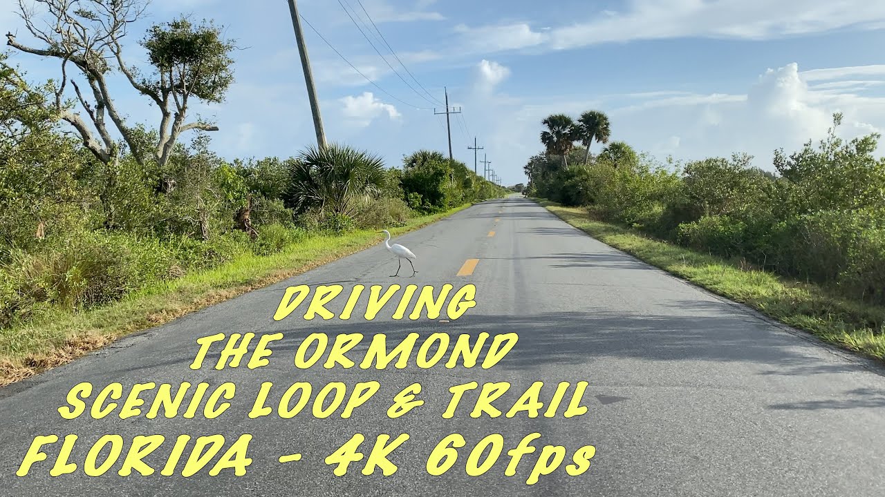 Driving The Ormond Scenic Loop & Trail - Florida - 4K 60fps - YouTube