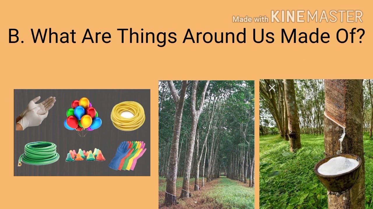 Science Lesson Unit 6 Things Around Me. - YouTube