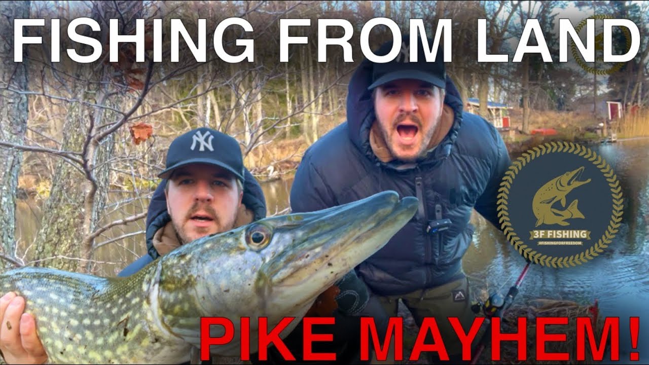 EXPLORING LAND FISHING | PIKE MAYHEM!! 🎣🔥🔥🔥 - YouTube