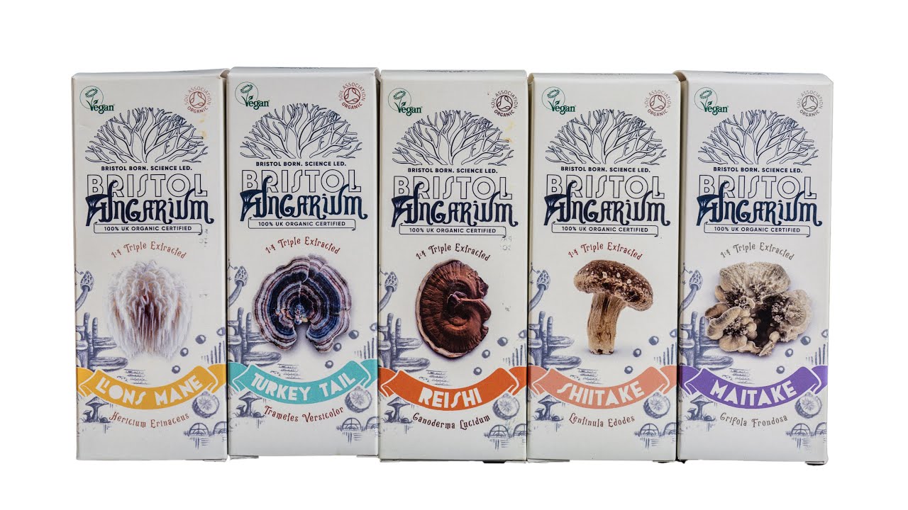 Bristol Fungarium Mushroom Extract Tinctures Range - YouTube