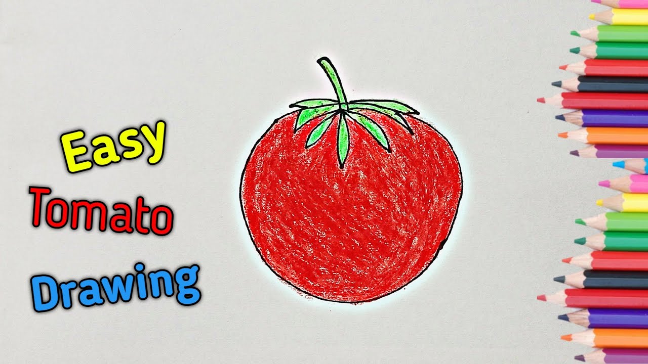 How To Draw Tomato 🍅 For Kids || Easy Tomato Drawing #arbaig #drawing ...