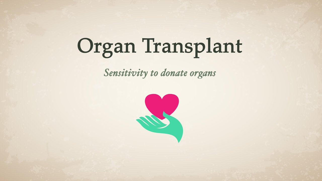 Organ Transplant (Transplantology) - YouTube
