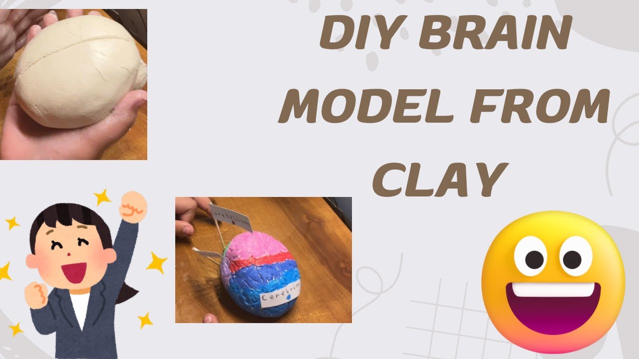 DIY Brain model made by clay@Creativeworld-kashvee - YouTube